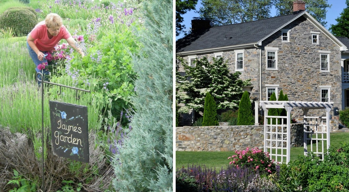 Living the Farm-to-Table Dream: A Q&A with Beech Springs Farm Owner ...